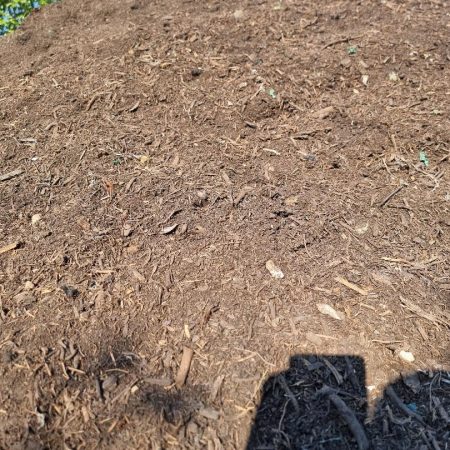 Midlands Compost – Compost | Bark Mulch | Garden Products – Local ...